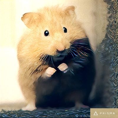 Top 5 Prisma Filters