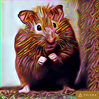 Top 5 Prisma Filters