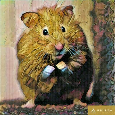 Top 5 Prisma Filters