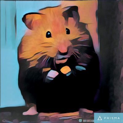Top 5 Prisma Filters