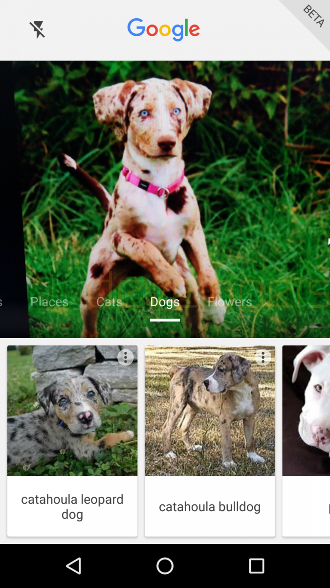 Hands-on with Google's Visual Search for Android