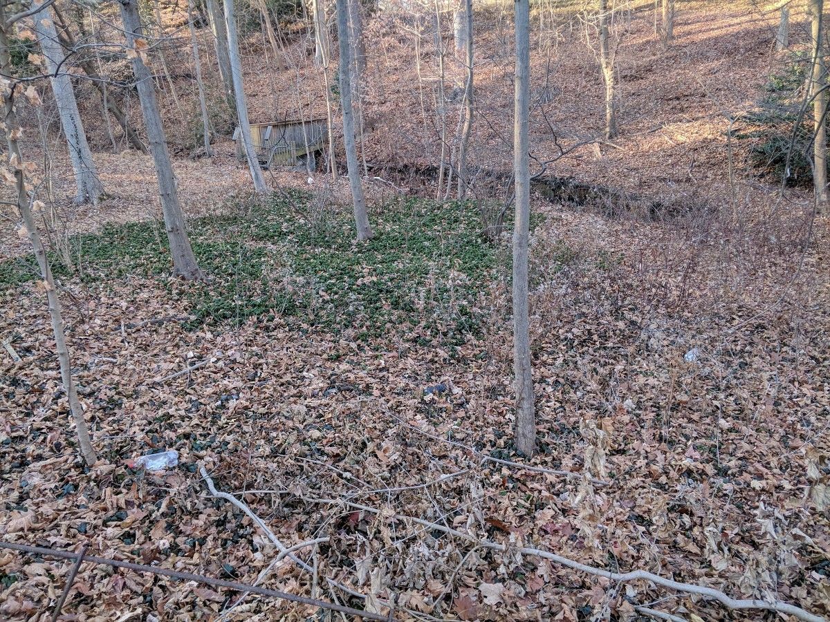 Hands On Overview Of Android Oreo Based Omnirom On The Oneplus 5t