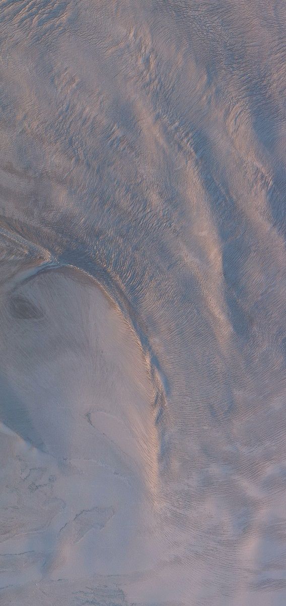 Pixel Themes is a new app to customize Android Q on the Google Pixel