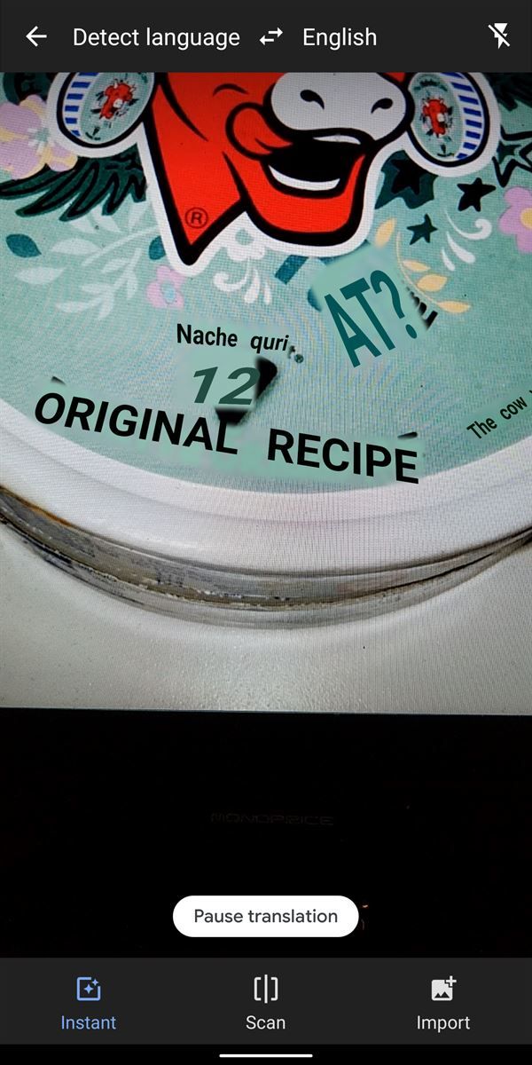 Google Translate tests automatic language detection in the camera mode