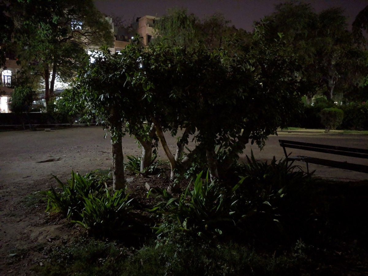 Google Pixel 3a hands-on: a cheaper Pixel with stunning camera