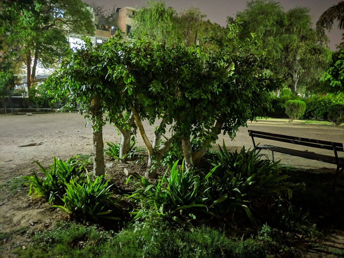 Google Pixel 3a hands-on: a cheaper Pixel with stunning camera