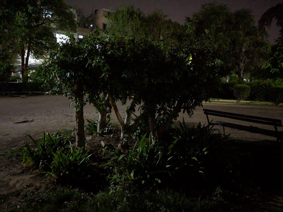 Google Pixel 3a hands-on: a cheaper Pixel with stunning camera