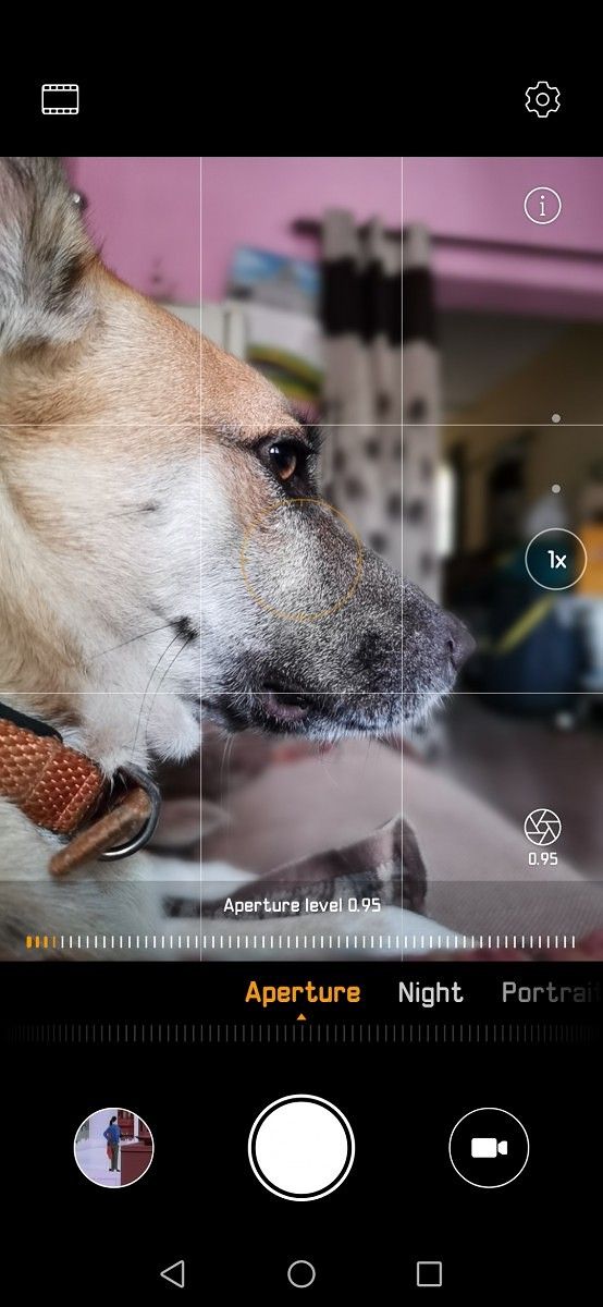 Huawei P30 Pro Camera Review: Proof that Huawei's ban hurts innovation