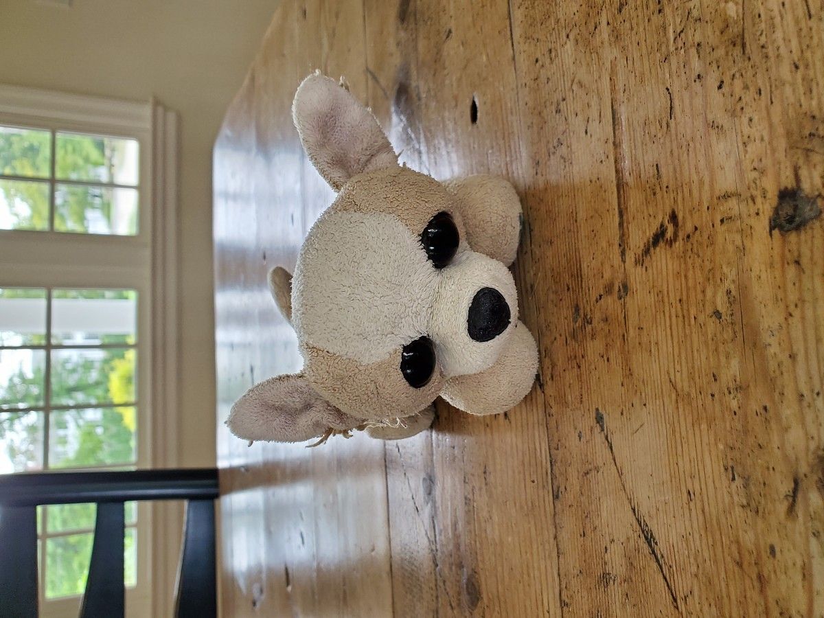 Galaxy Note 10 3D Scanner app and Samsung/Discord integration go live