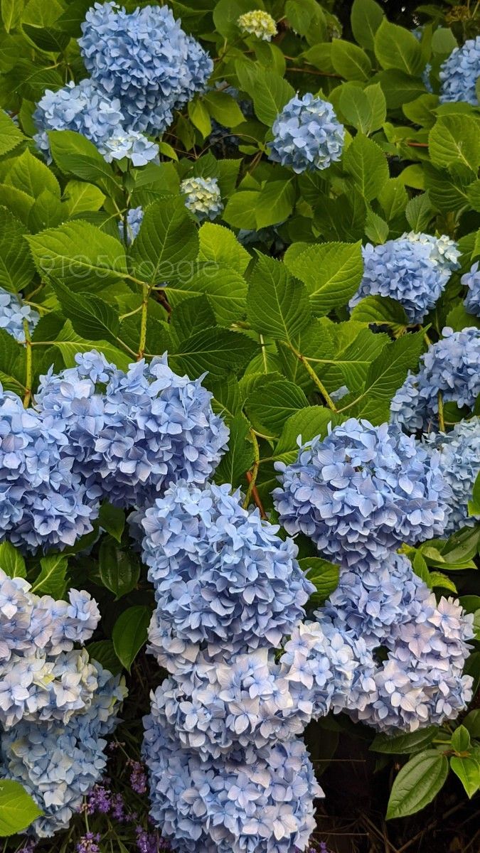 Pixel 4 camera samples show off Astrophotograhy and Dual Exposure sliders