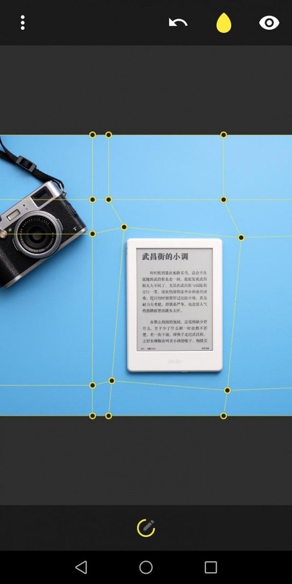 Image Warp helps you transform pictures with manually adjustable grids