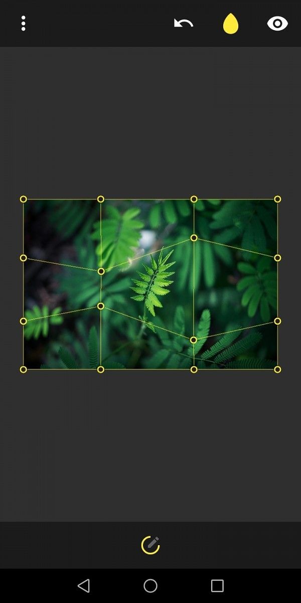 Image Warp helps you transform pictures with manually adjustable grids