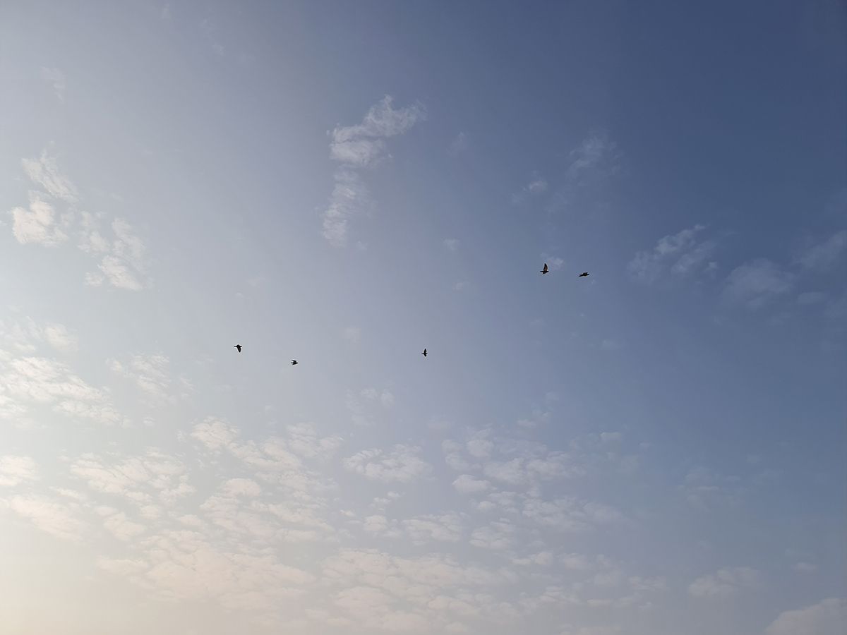 Samsung Galaxy Note 20 Ultra Camera Review: Effective is the word