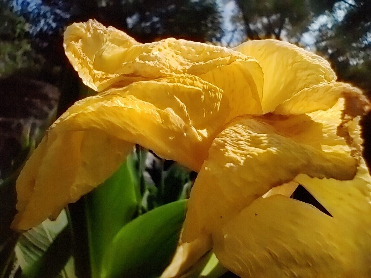 OnePlus Nord Camera Review: Are Six Cameras Enough?