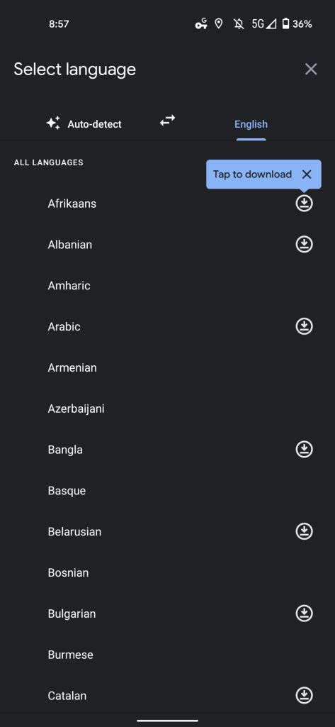 Google Lens on Android can now translate text while offline