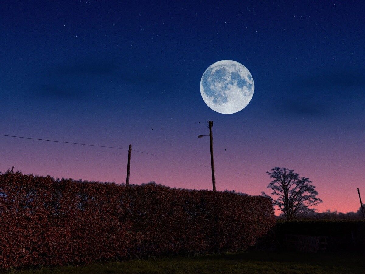 Best Smartphone Cameras in 2023