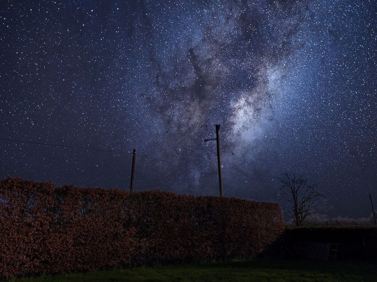 Best Smartphone Cameras in 2023