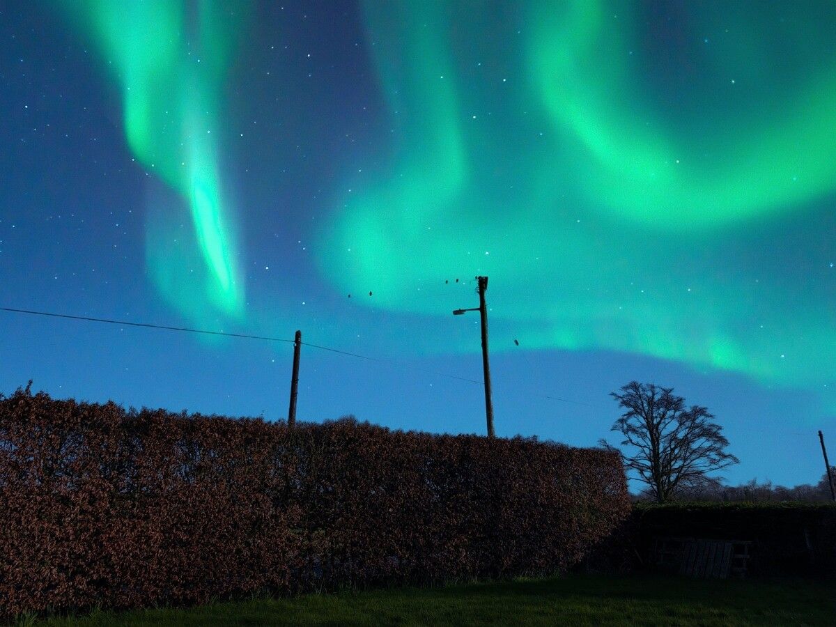 Best Smartphone Cameras in 2022 -- We've tested them all!