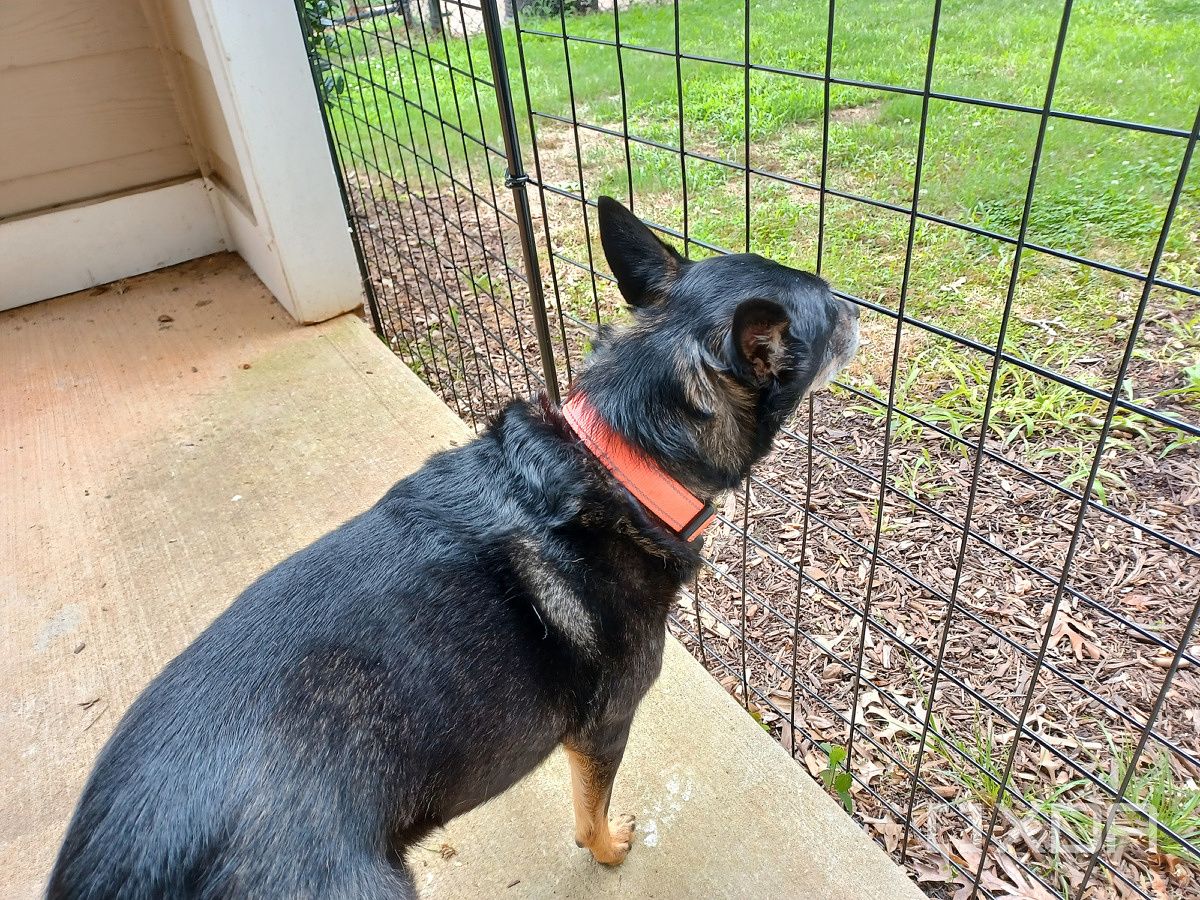 Samsung Galaxy A32 5G Review: The best sub-$300 phone in the US