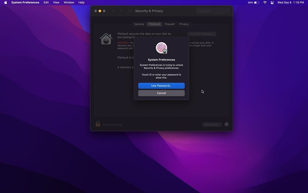 How to use the FileVault encryption feature on macOS