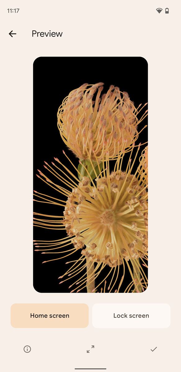 Android 12's wallpaper theming system will go open source in Android 12.1