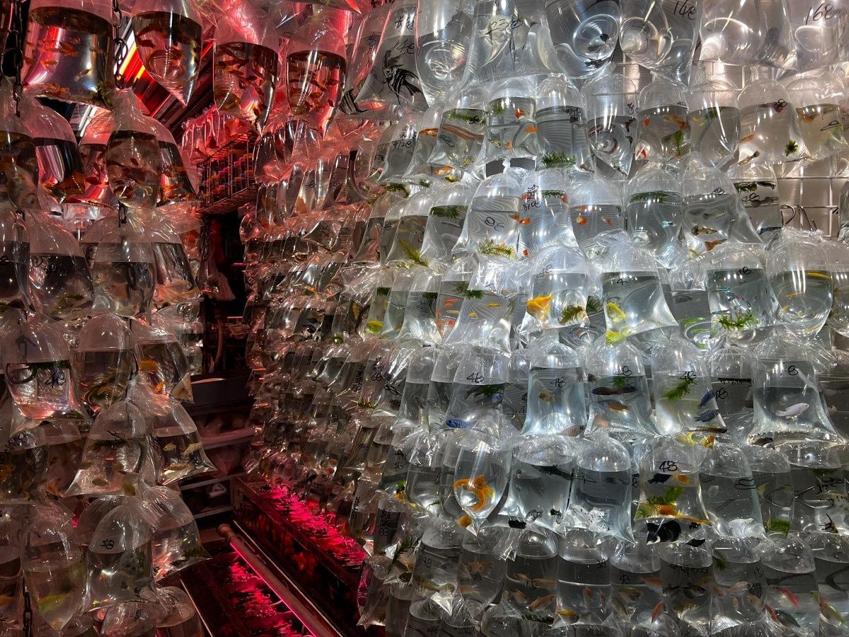 iPhone 13 Pro Review: Top-notch flagship from Apple, but with one ...