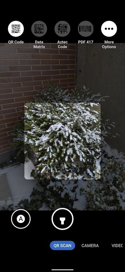 GrapheneOS brings its camera and PDF viewer apps to the Play Store