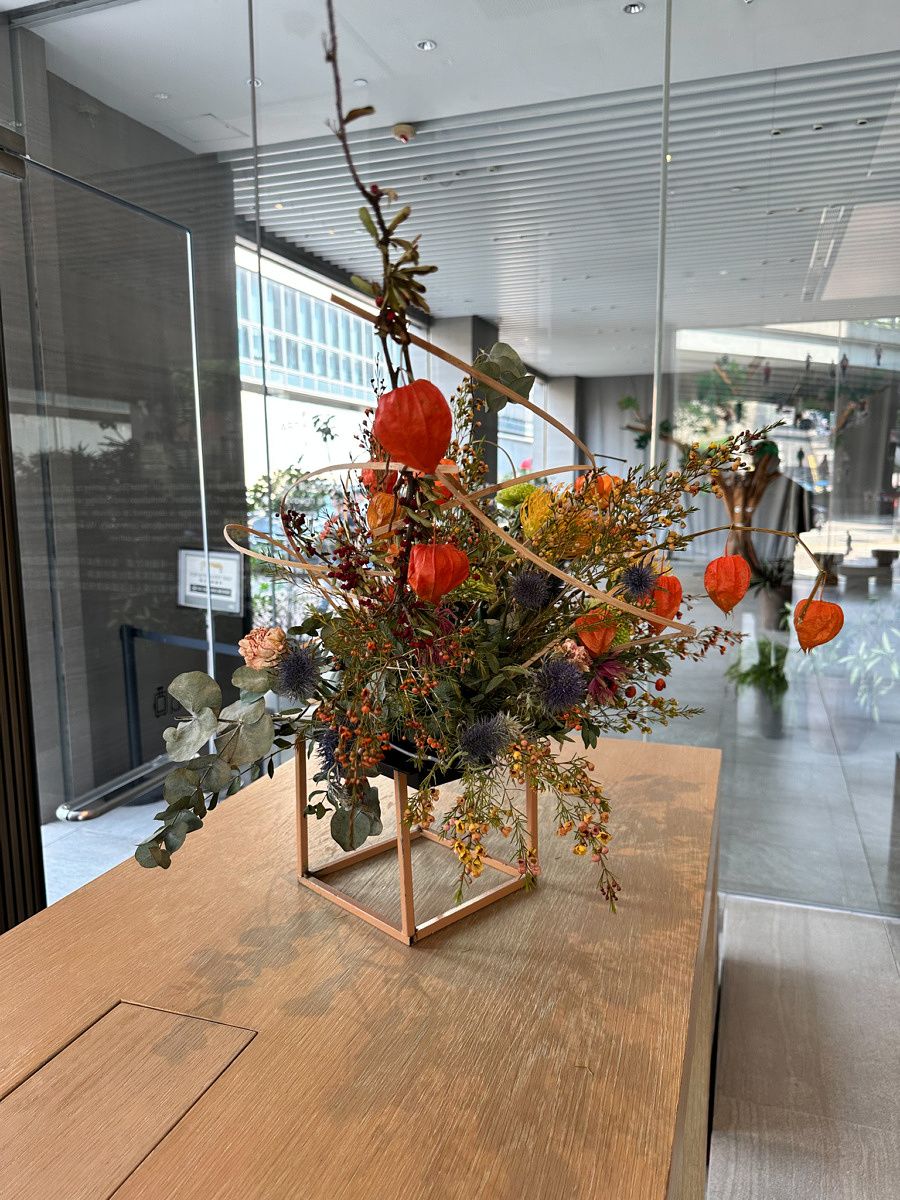 Apple's iPhone 14 series explained: What's the difference between the ...