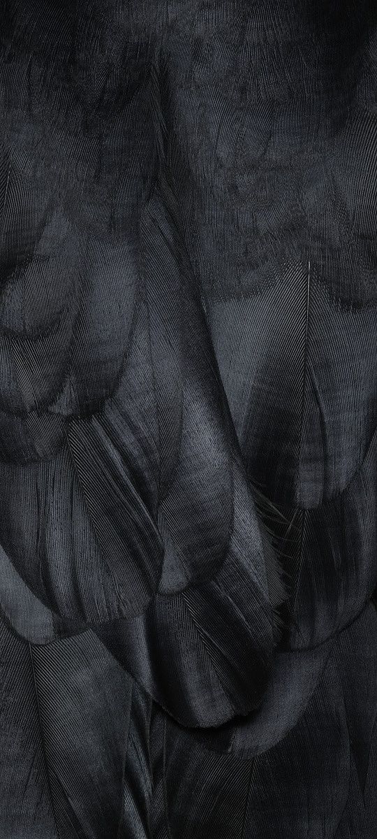 Download: Here are all the new wallpapers from the Pixel 7 & Pixel 7 Pro