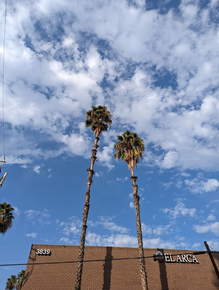 Google Pixel 7 review: Pixel hardware finally gets great enough to ...