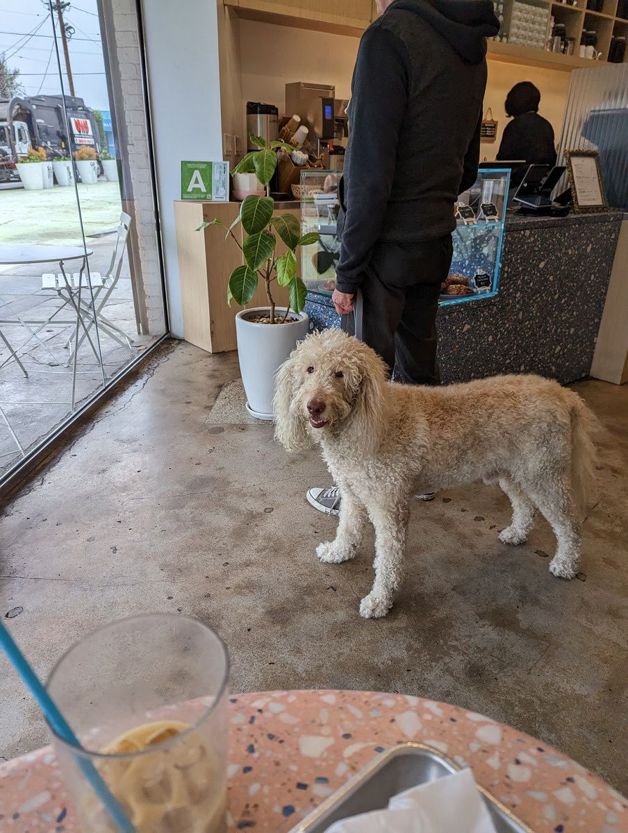 Google Pixel 7 review: Pixel hardware finally gets great enough to ...