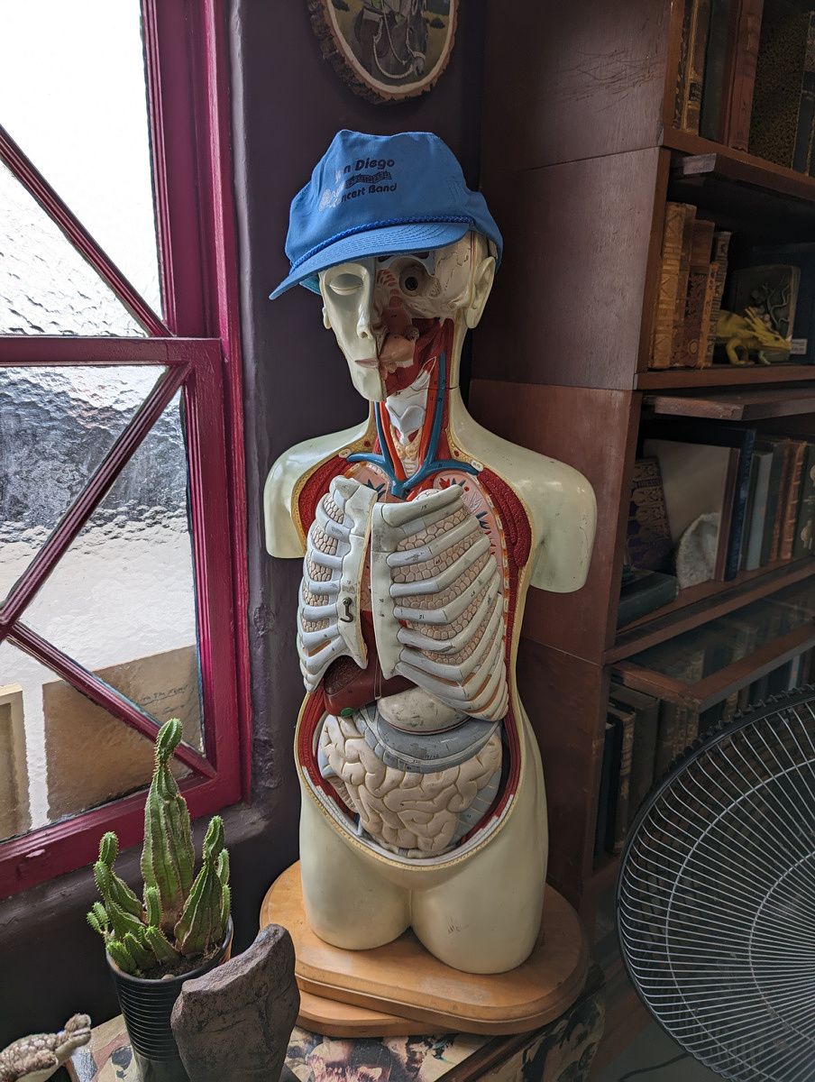 Google Pixel 7 review: Pixel hardware finally gets great enough to ...