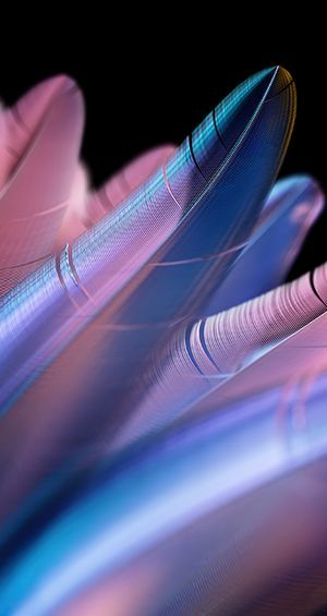 Download all the new Oppo Find N2 series wallpapers here