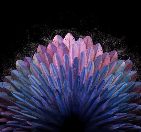 Download all the new Oppo Find N2 series wallpapers here