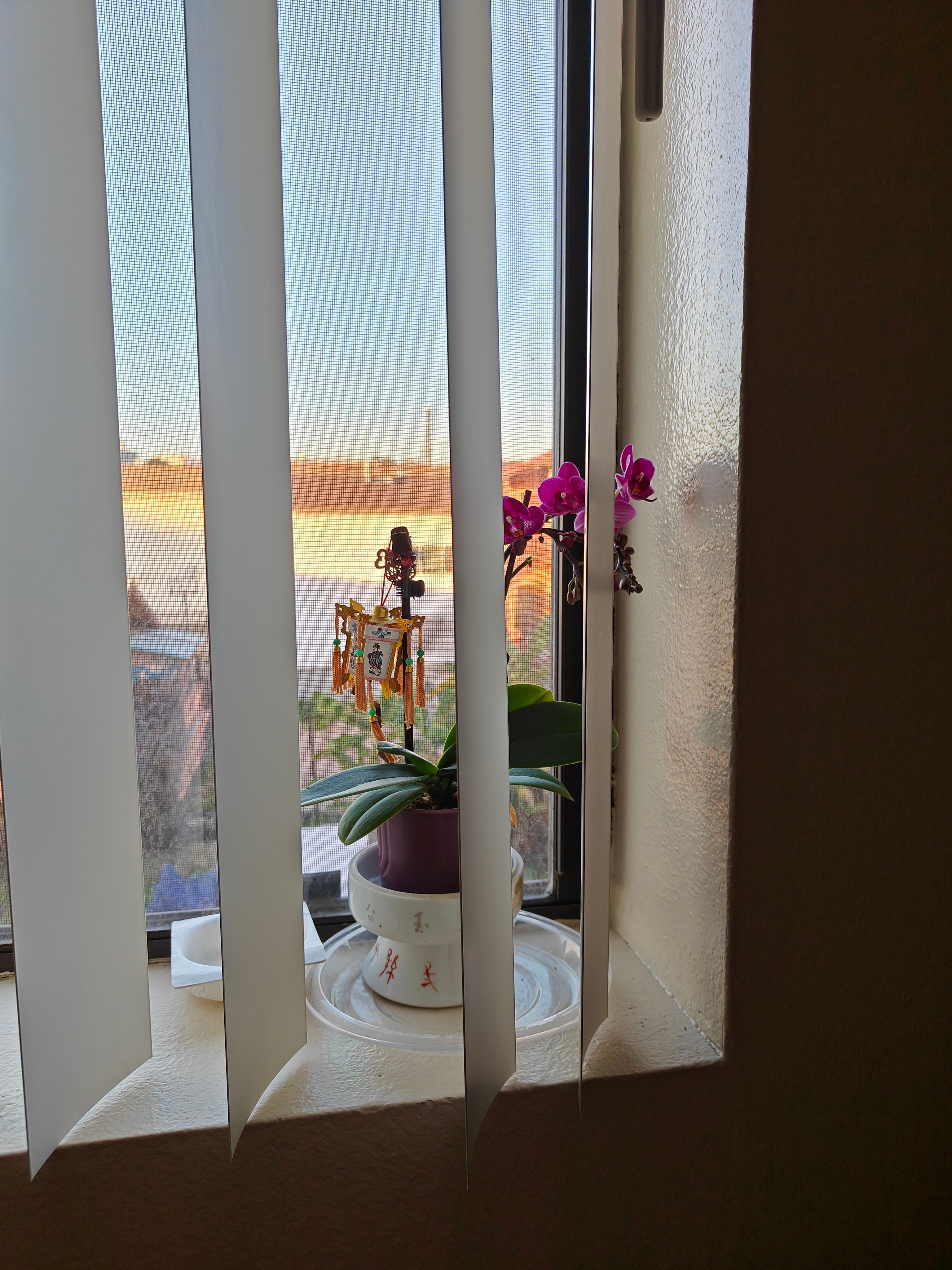 OnePlus 11 review: A polished 'almost flagship' at non-flagship price