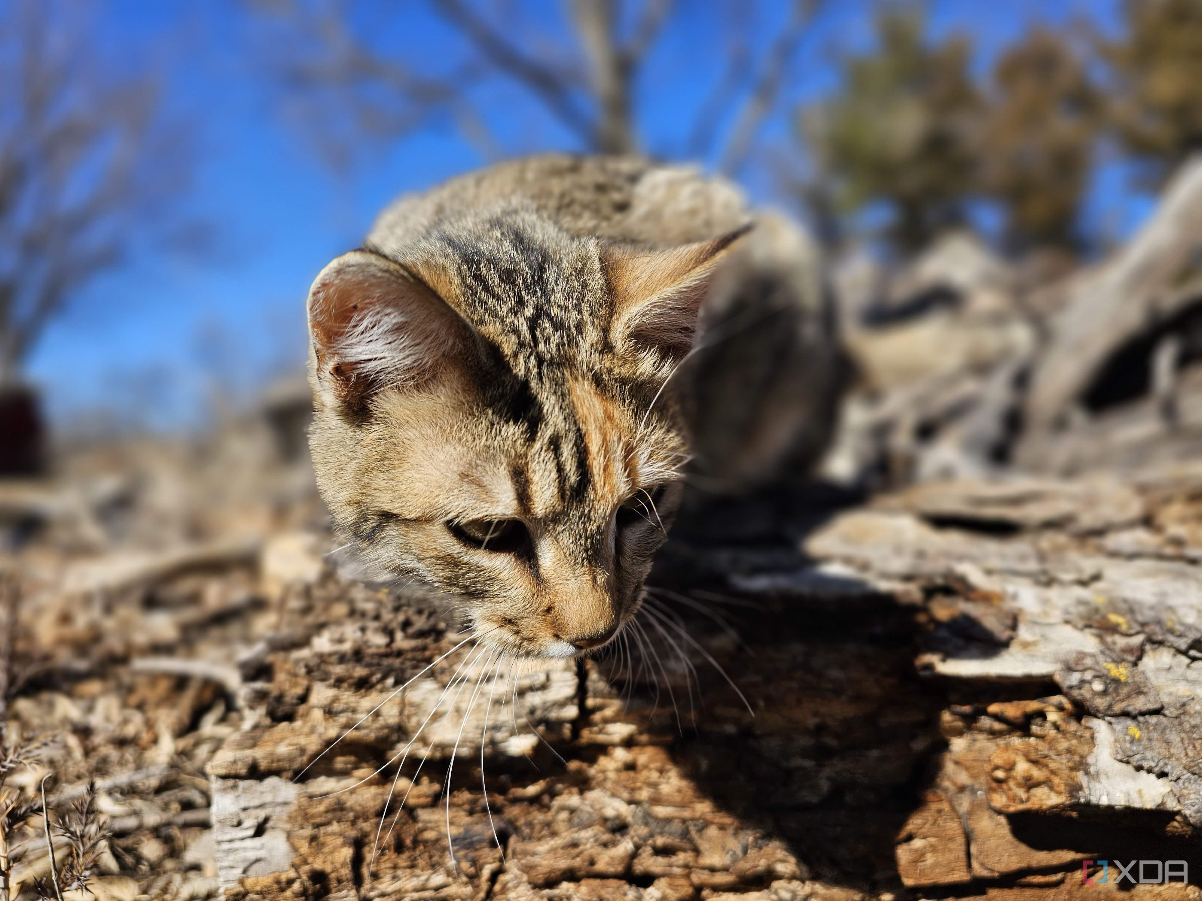 Samsung Galaxy S23 Ultra review: Refined to near perfection