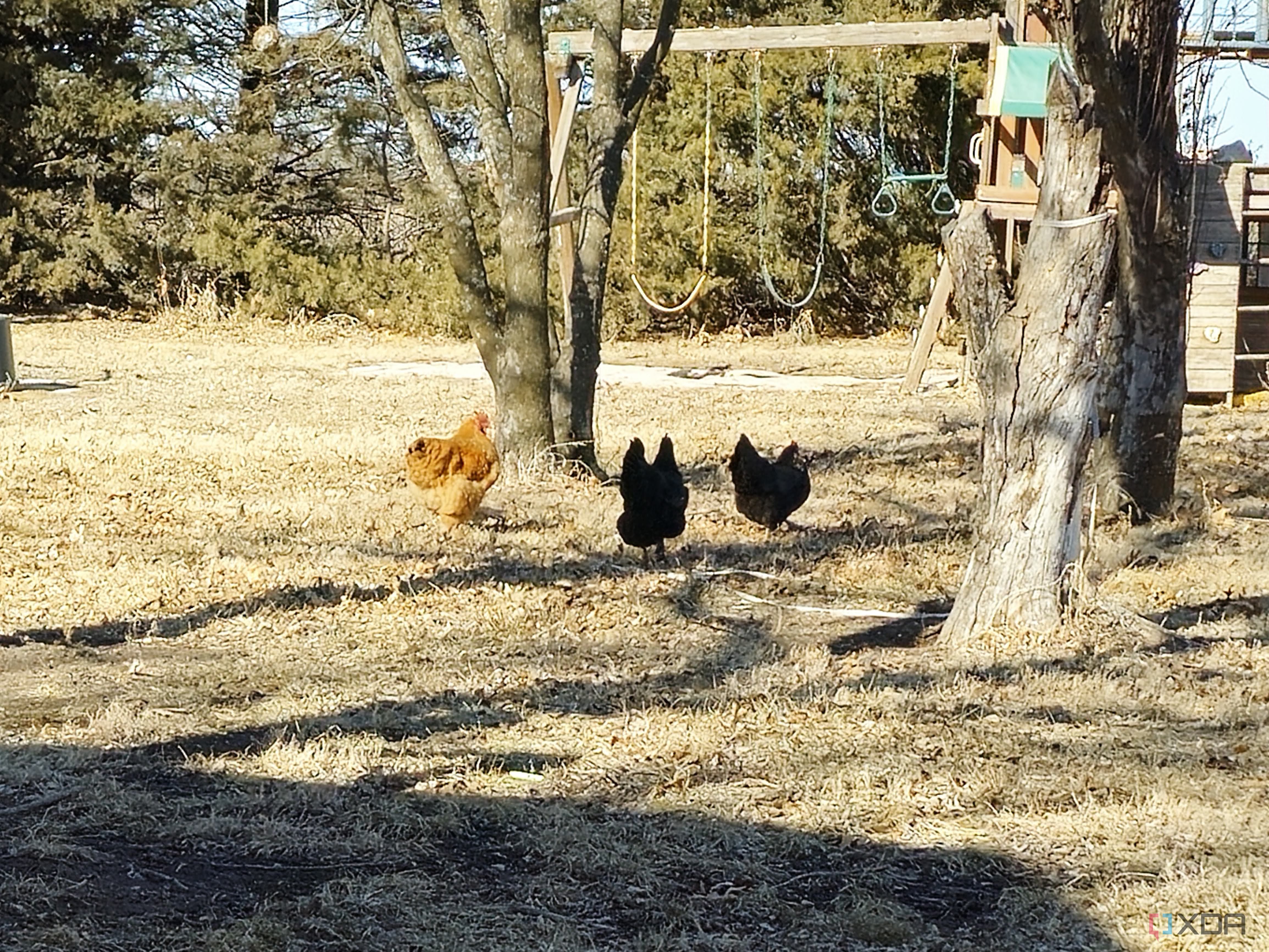 Samsung Galaxy S23 Ultra review: Refined to near perfection