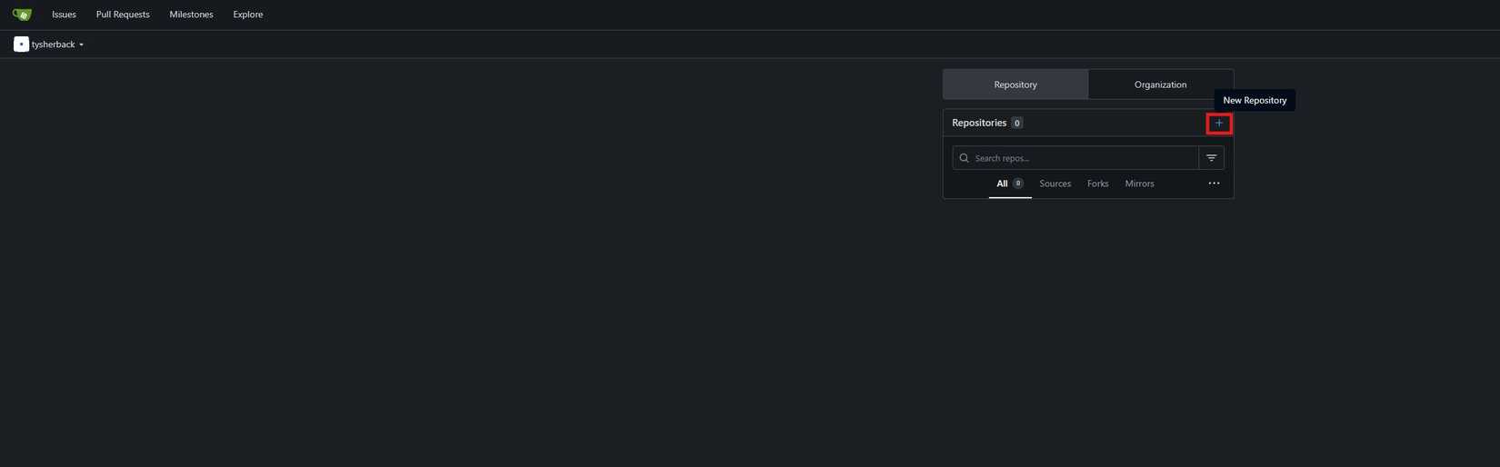 How to set up your own Git server at home for your personal projects