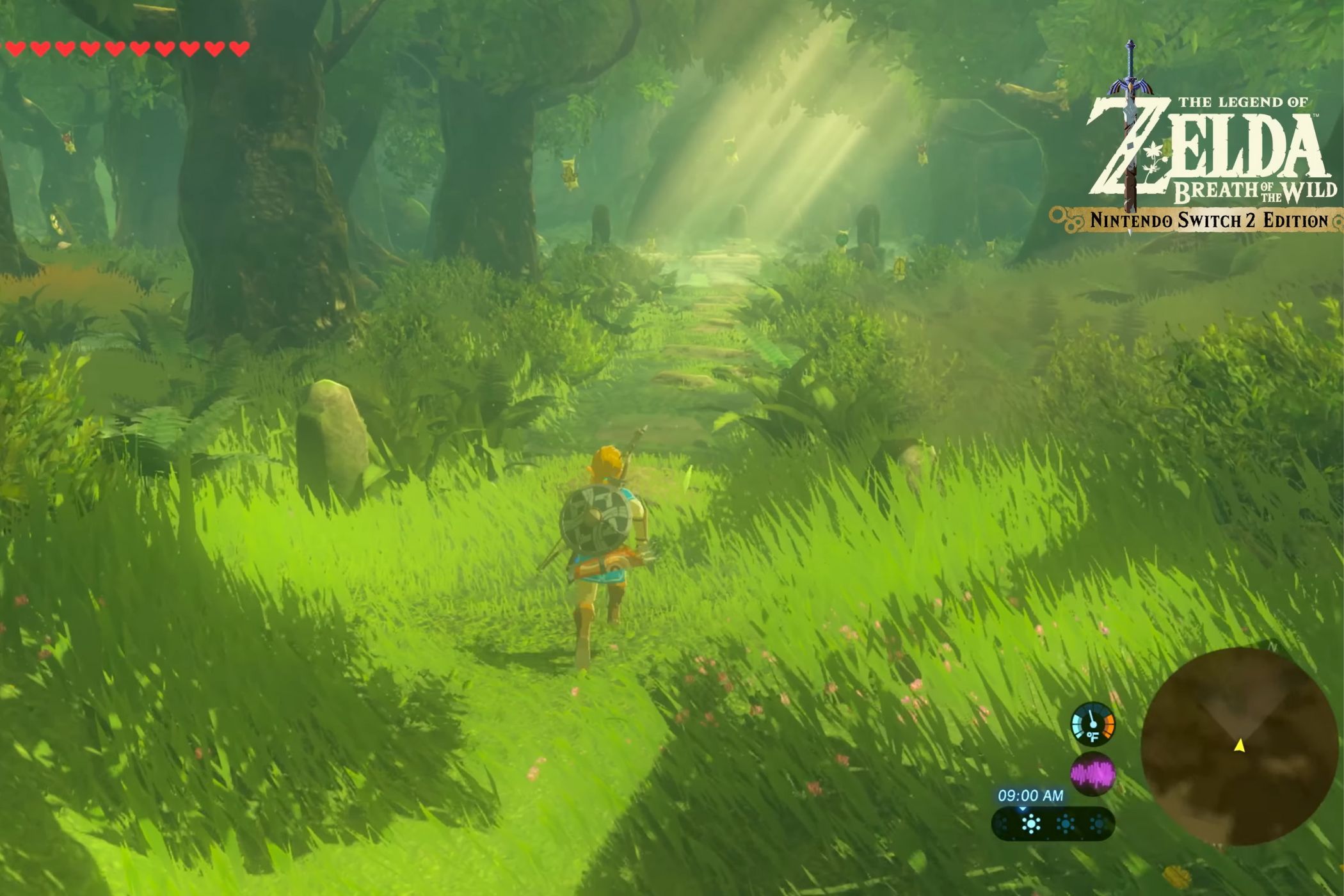 Zelda 8 Bit Hjerter