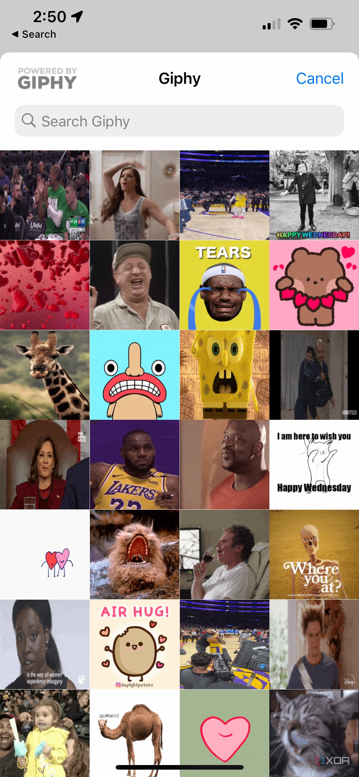 Everything you can do with the Shortcuts app on iPhone