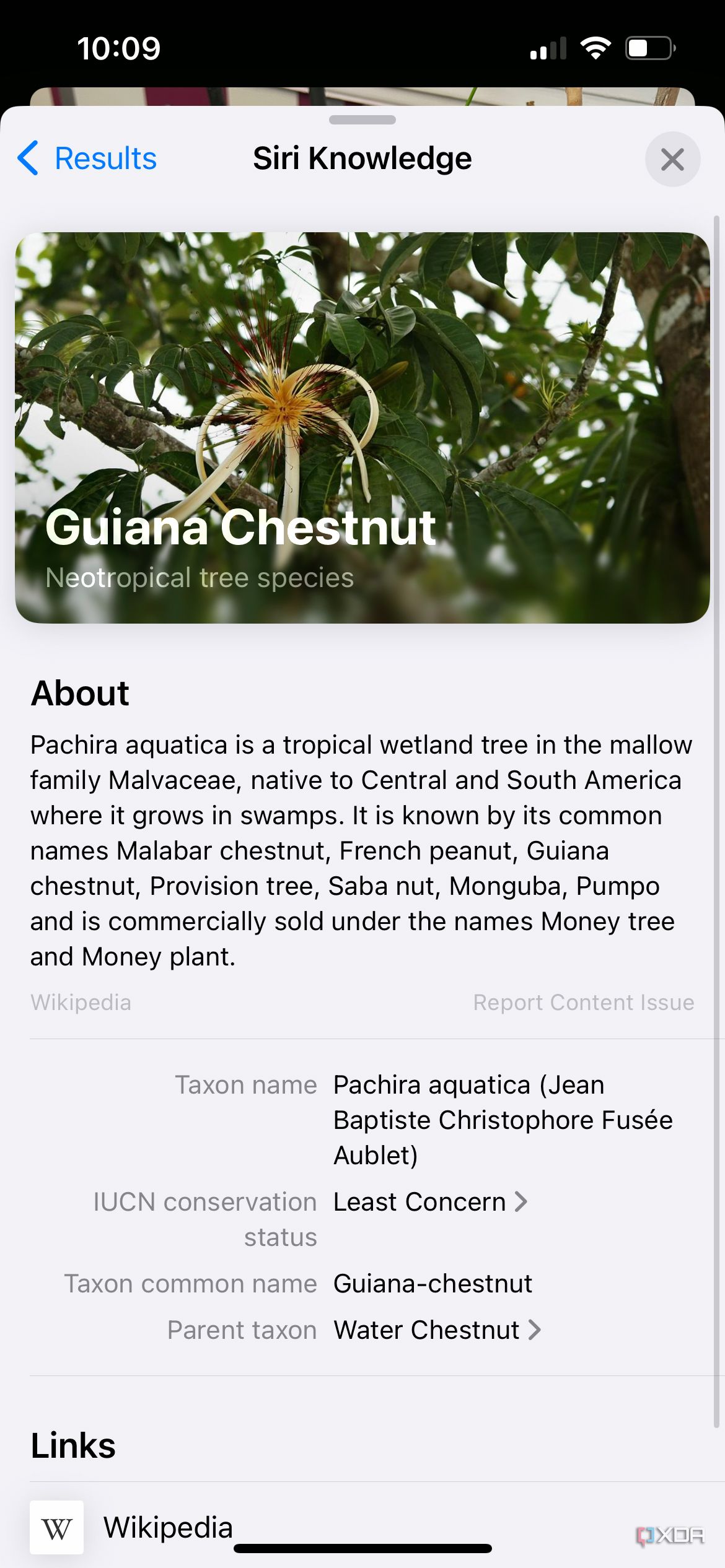 How to use Visual Look Up on iPhone