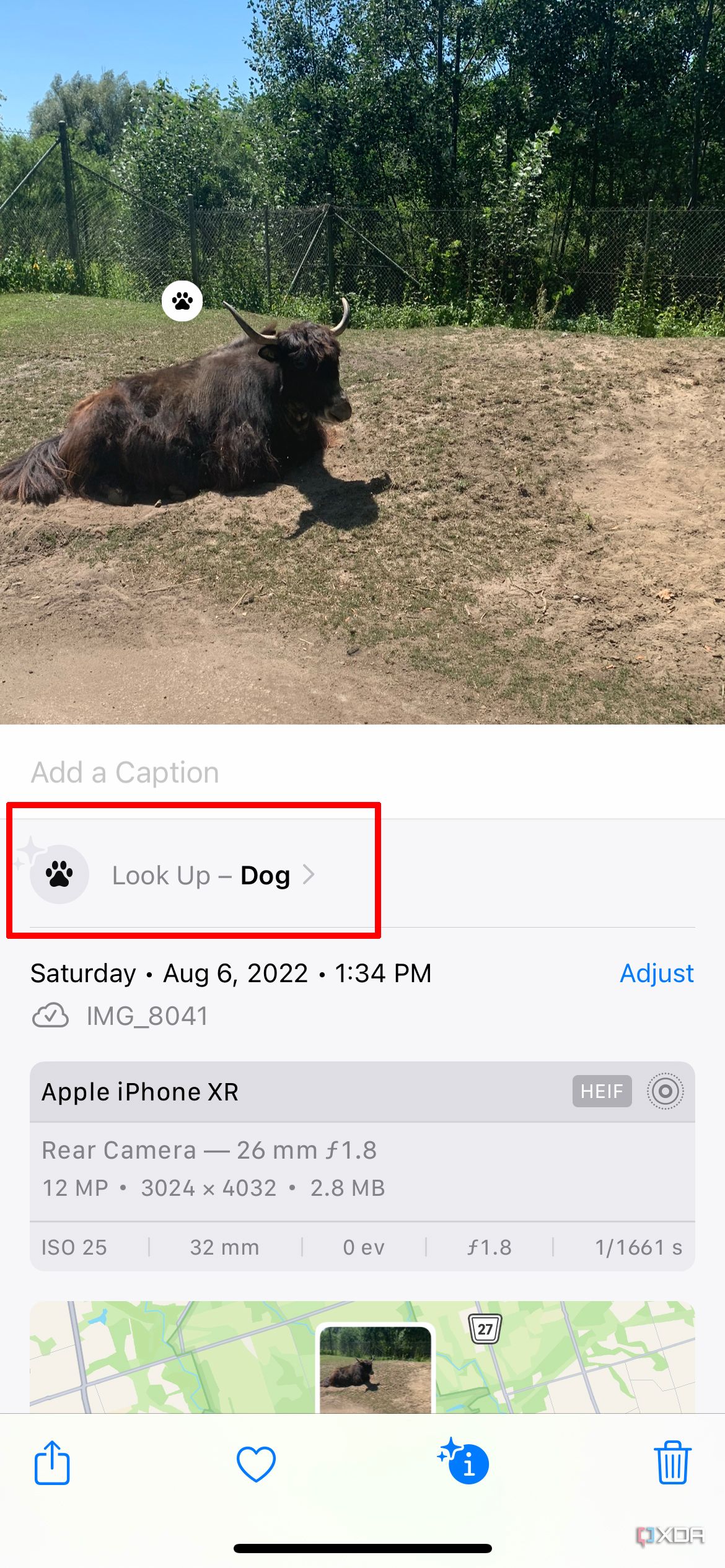 How to use Visual Look Up on iPhone