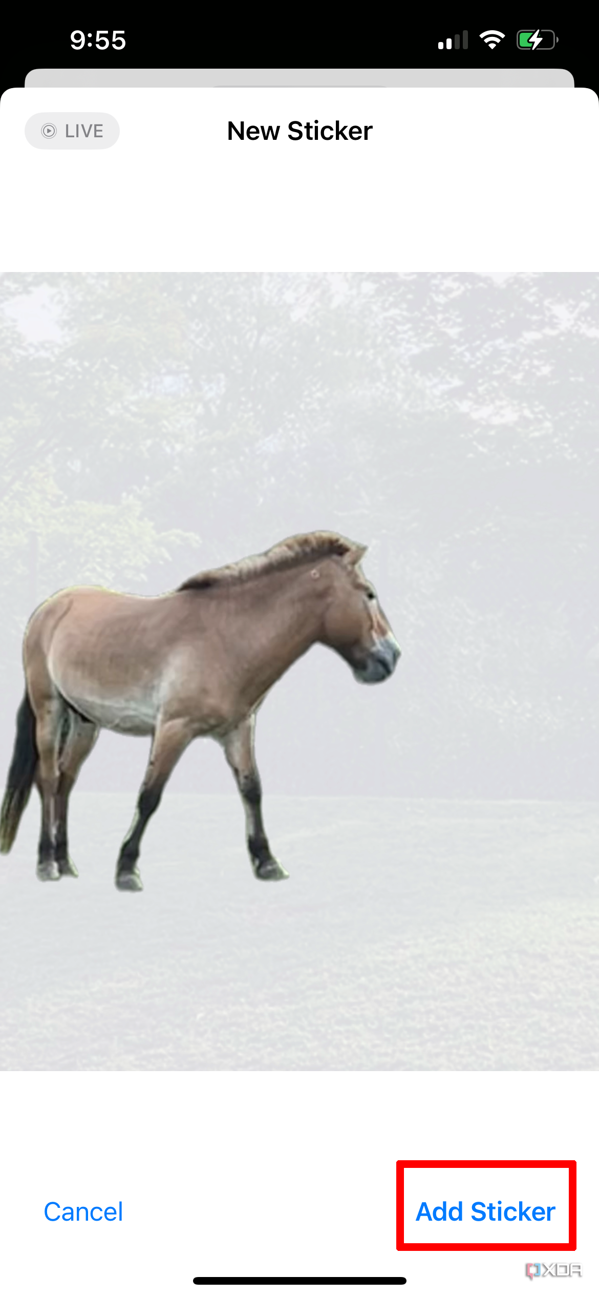 Complete guide to stickers on iOS and iPadOS 17