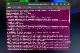 How To Install MongoDB On Ubuntu