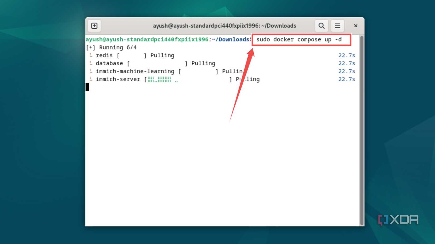 How I made my own photo hosting platform with Immich