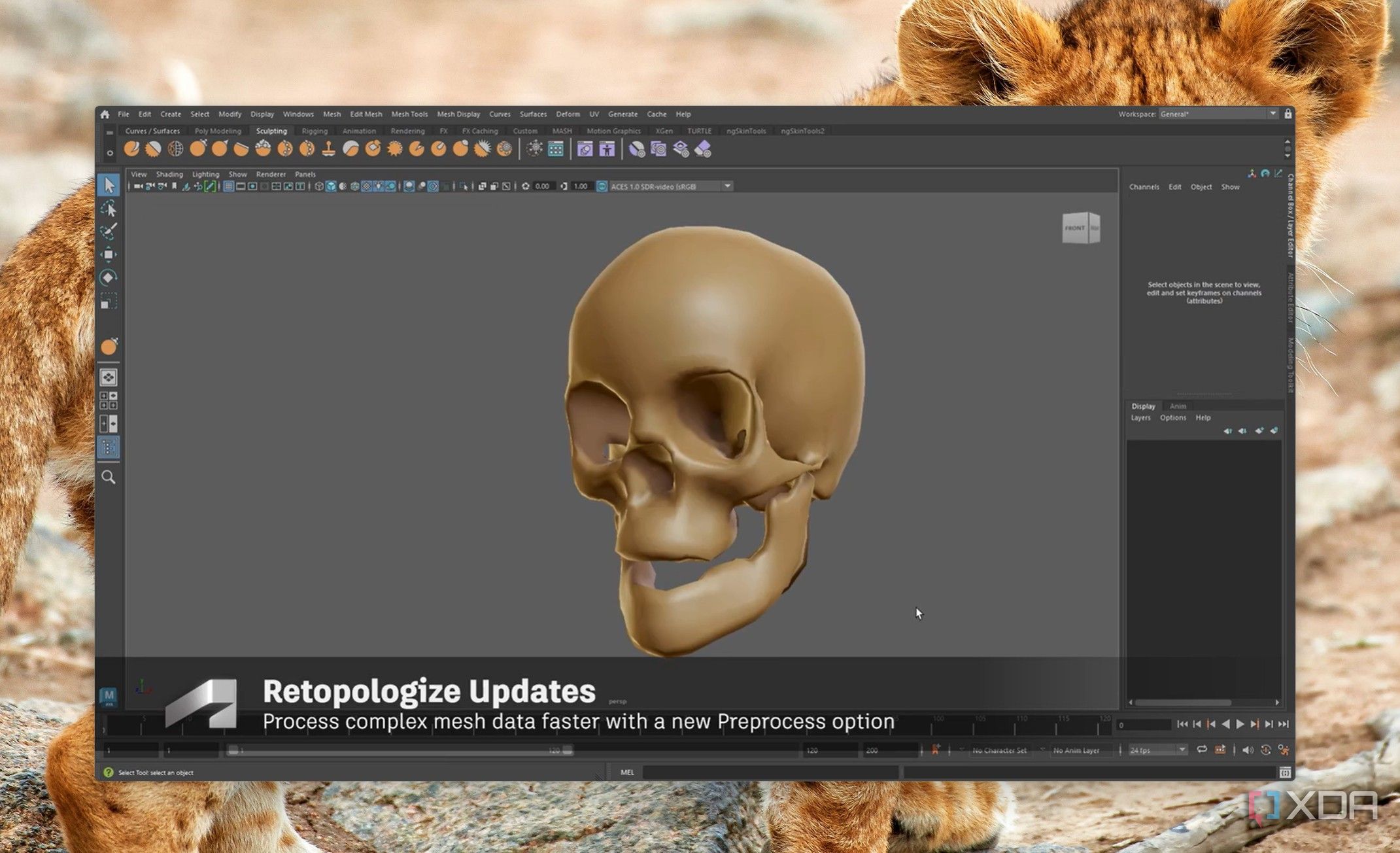 6 of the best sculpting software you should use for 3D printing